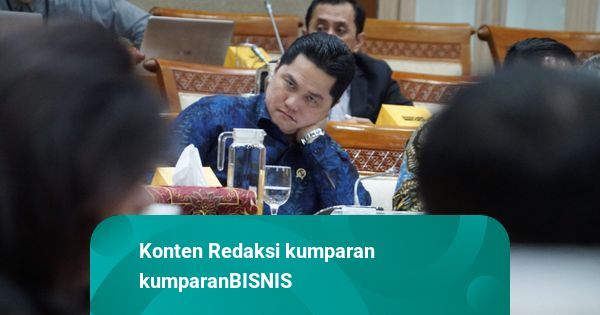 Bulan Depan Erick Thohir Akan Bubarkan Lagi Anak & Cucu BUMN | kumparan.com